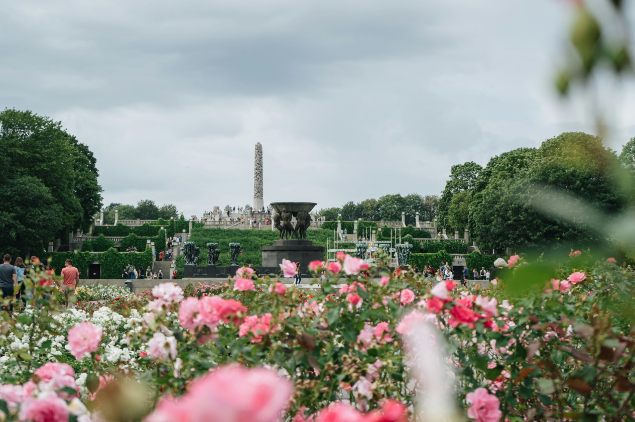 Oslo Small Group Tours