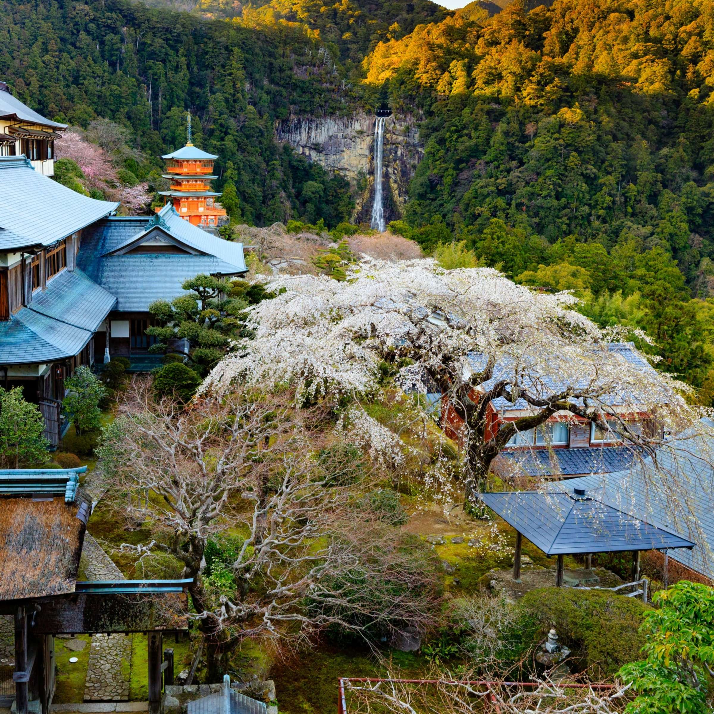 Online Lecture on Japan's Kumano Kodo Pilgrimage Trail | Context Travel ...