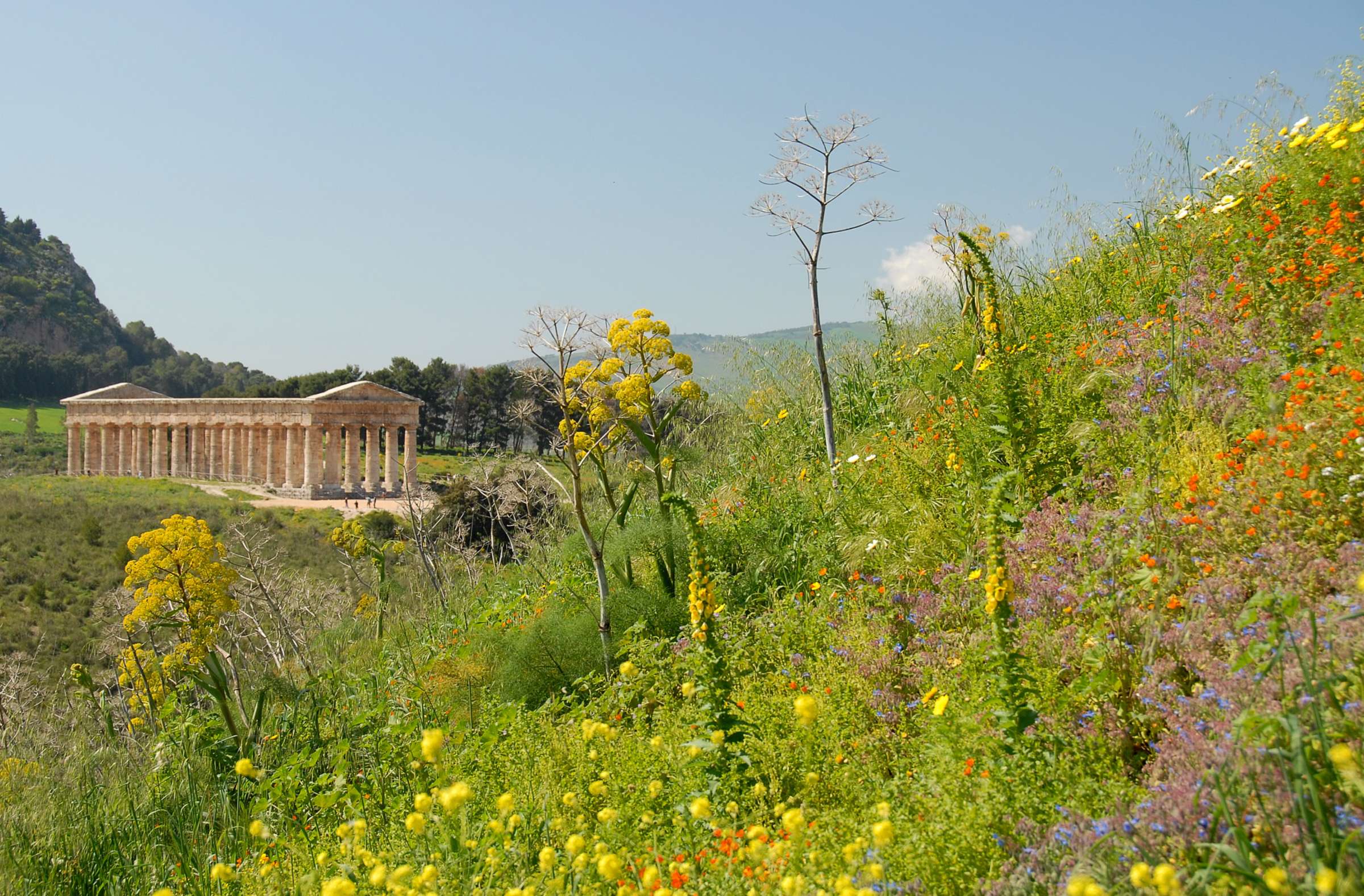 Segesta Archaeological Site Tour in Sicily