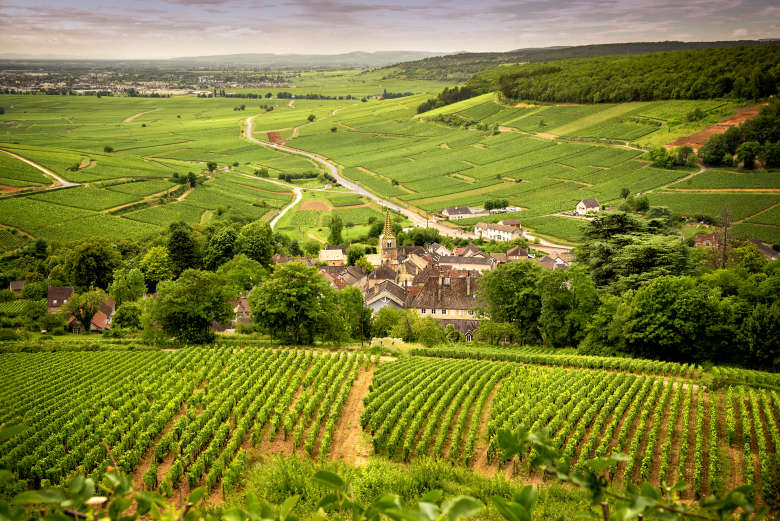 Burgundy Private Tours - Context Travel