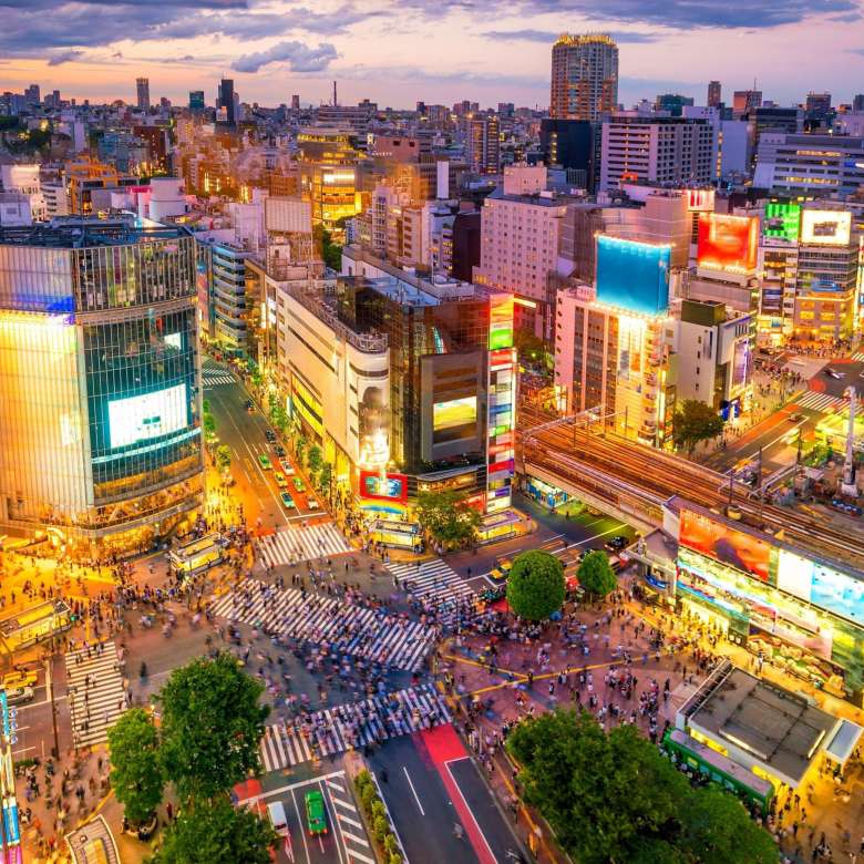 Tokyo Private Tours - Context Travel