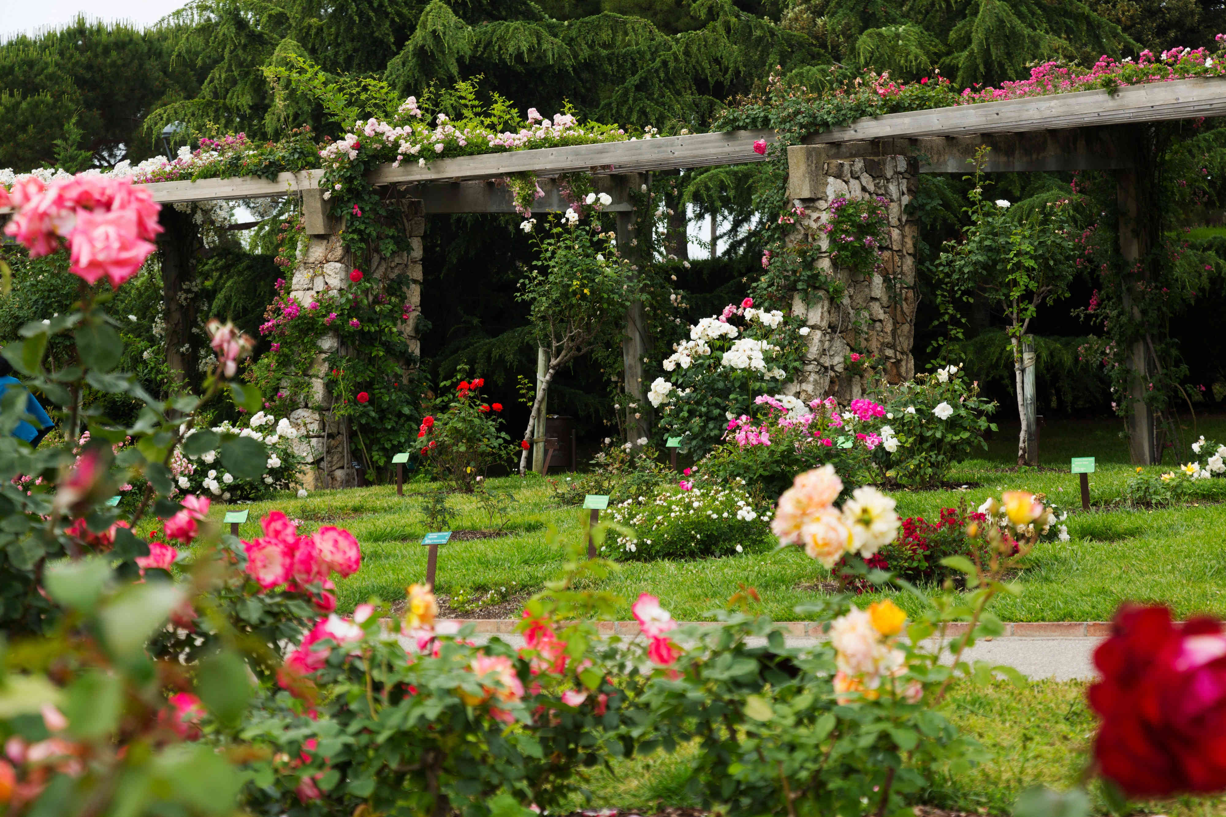 7 Barcelona Parks and Gardens (You Don’t Want to Miss)