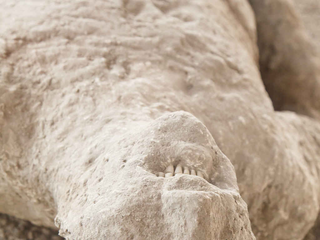 12 Surprising Pompeii Facts You Need To Know