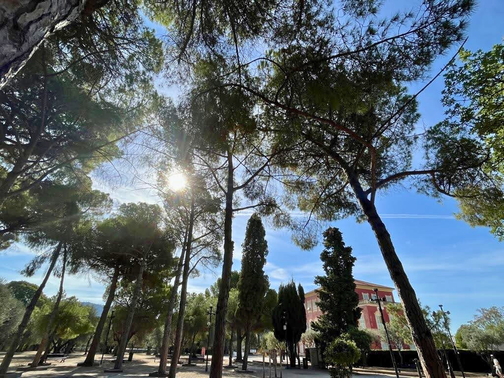 An Insider's Guide to the French Riviera